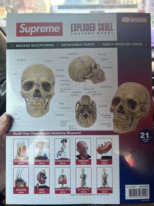 Supreme Supreme 4D exploded skull model | Grailed