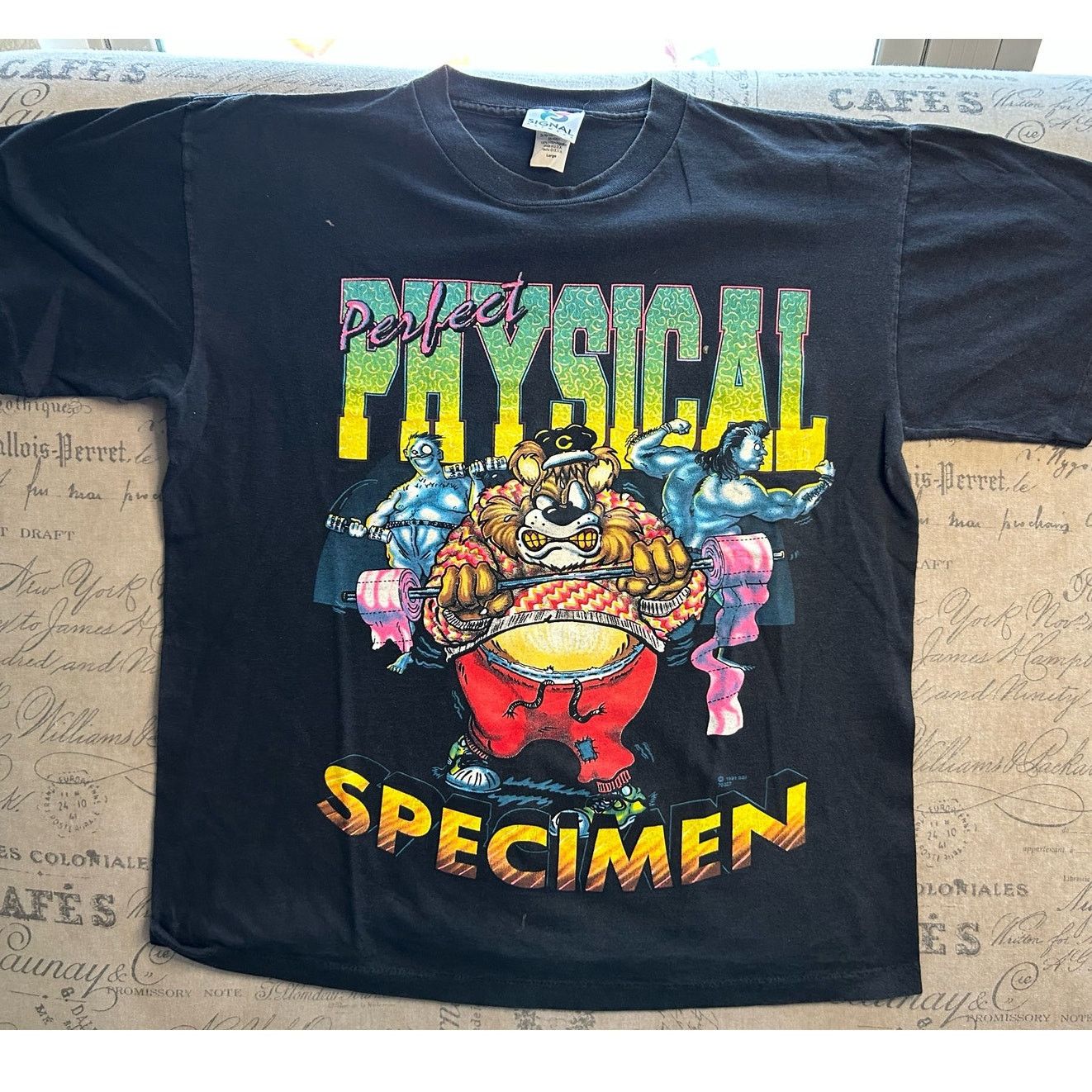Other Vintage 1991 Perfect Physical Specimen Gym T-Shirt | Grailed