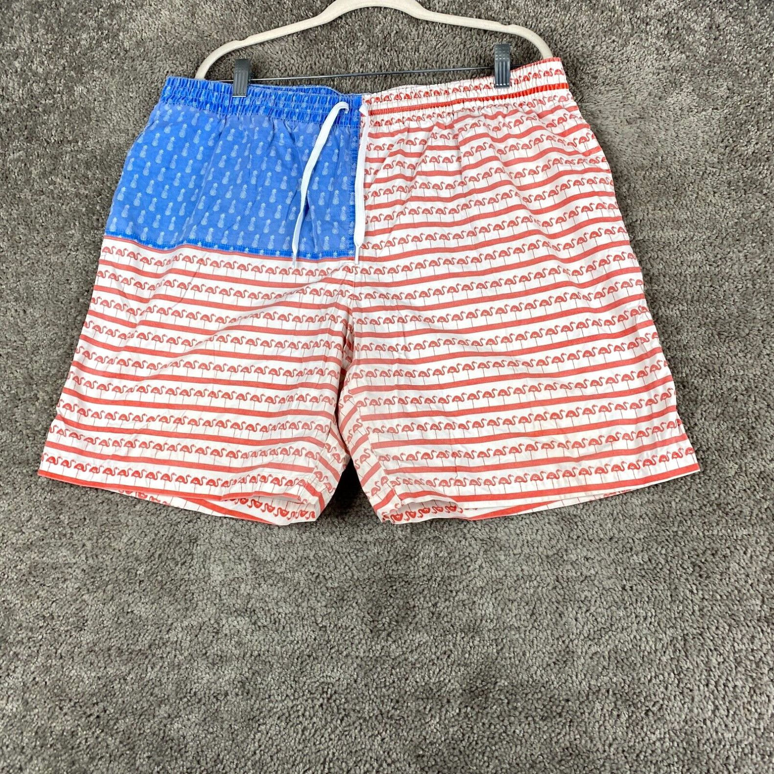 Chubbies Chubbies The Fruited Plains Classic Swim Trunks Board Shorts ...
