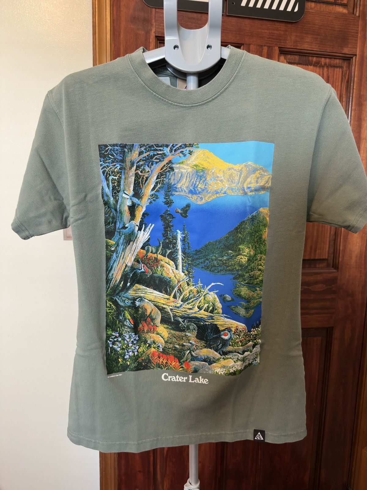 Nike Nike ACG Oregon Forrest Graphic Tee | Grailed