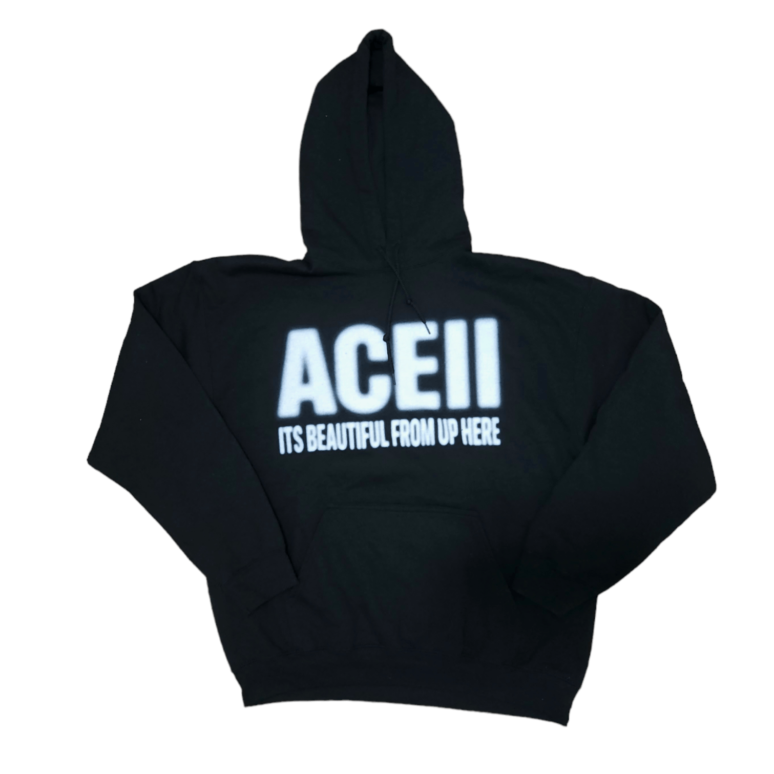Streetwear Aceii Shed Theory It's Beautiful From Up Here Hoodie Large ...