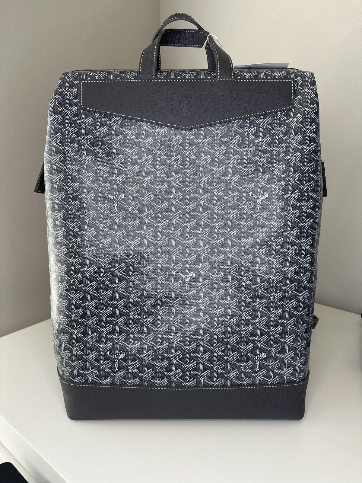 Goyard Goyard Cisalpin Backpack Grey | Grailed