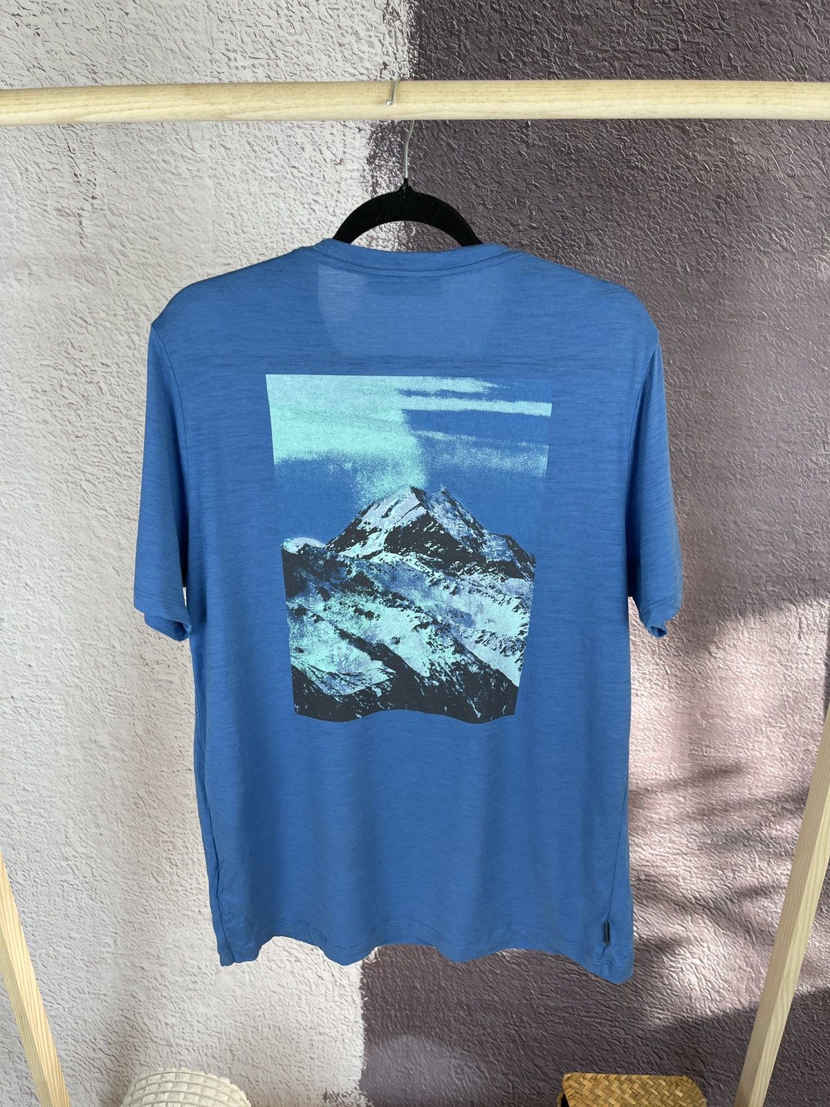 Ice Breaker × Outdoor Life Icebreaker mountain print 100% wool tee ...