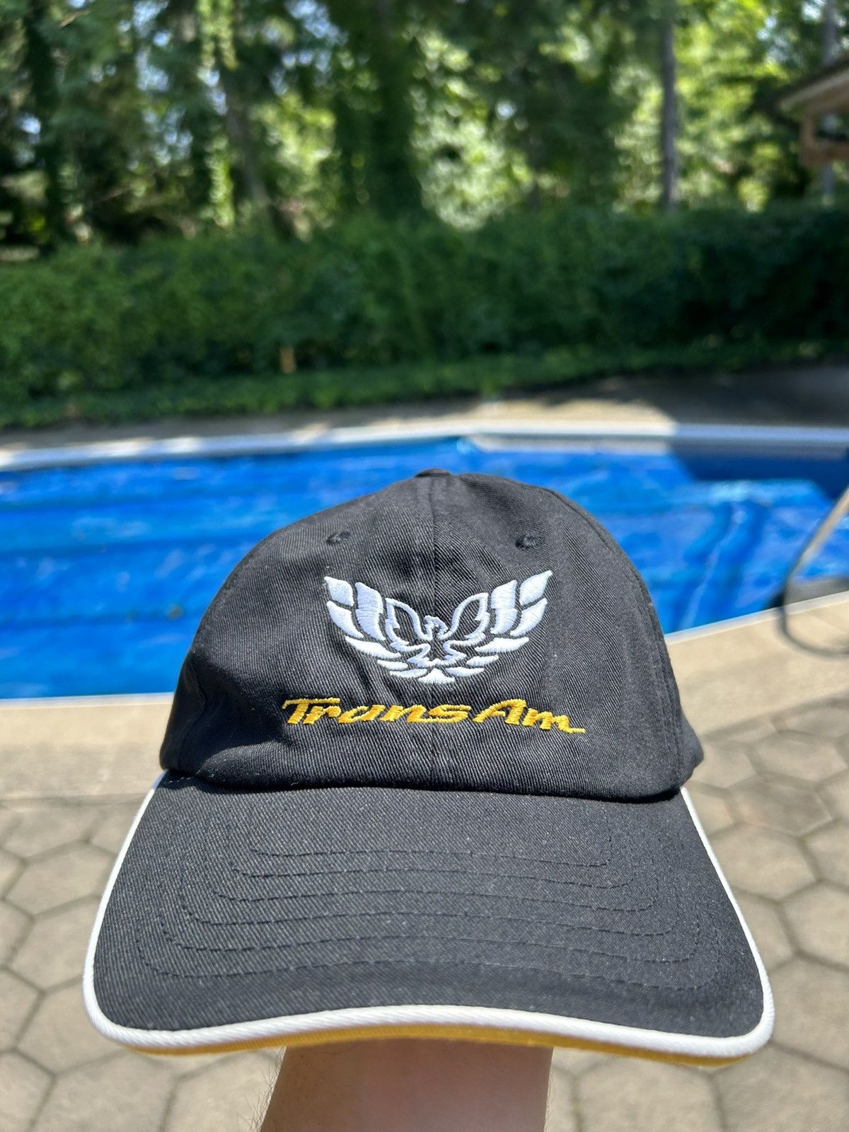 Vintage Vintage Trans Am Firebird Collector Edition Hat Rare 90s | Grailed