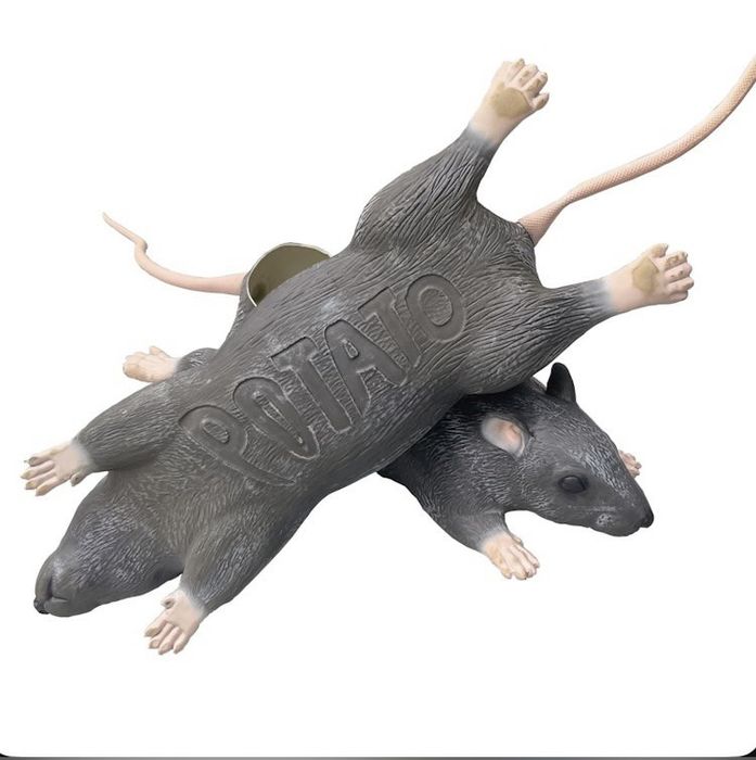 Imran Potato Imran potato rat shoes | Grailed