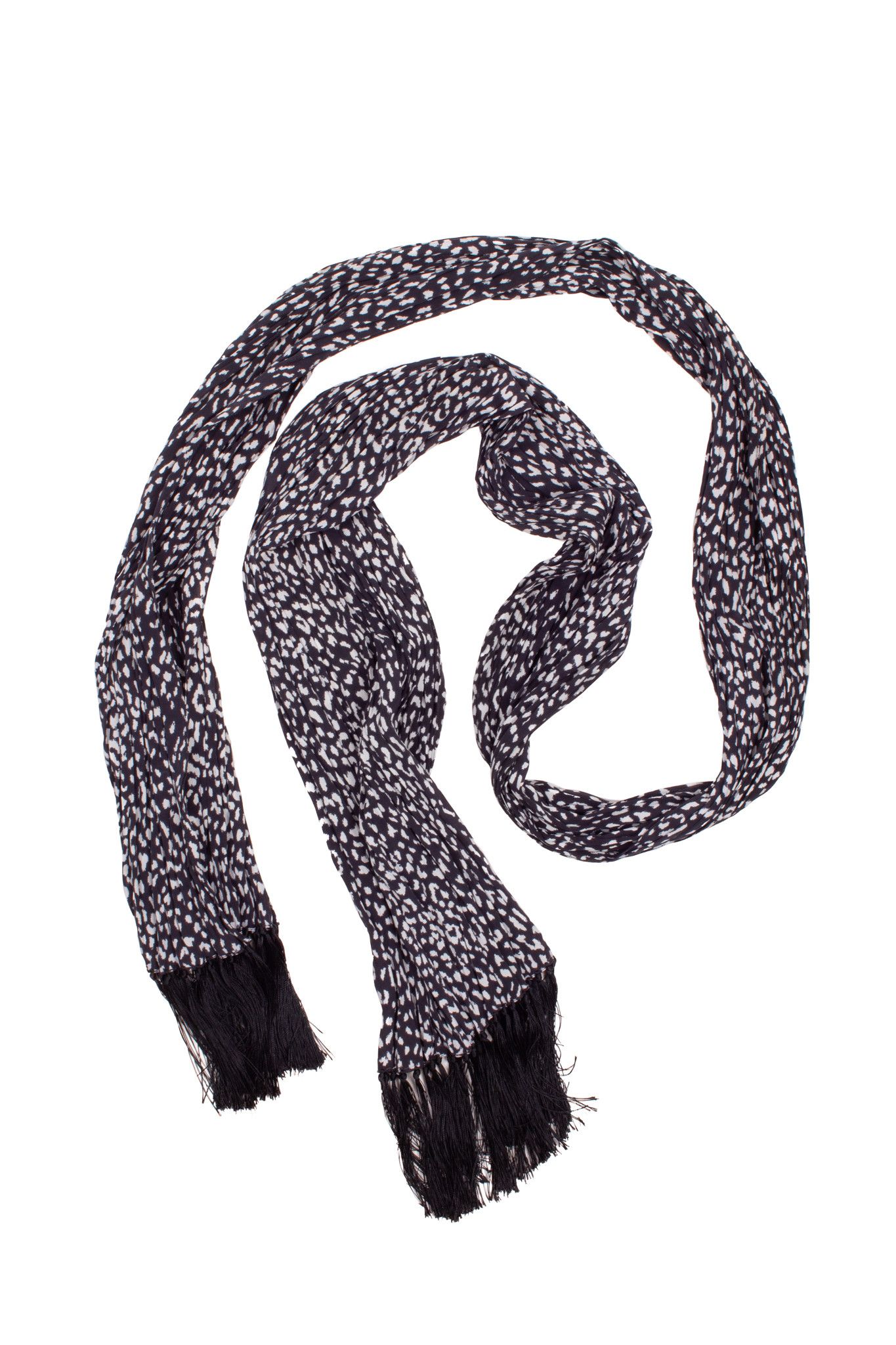 Hedi Slimane × Saint Laurent Paris SAINT LAURENT PARIS BABY CAT PRINT ...