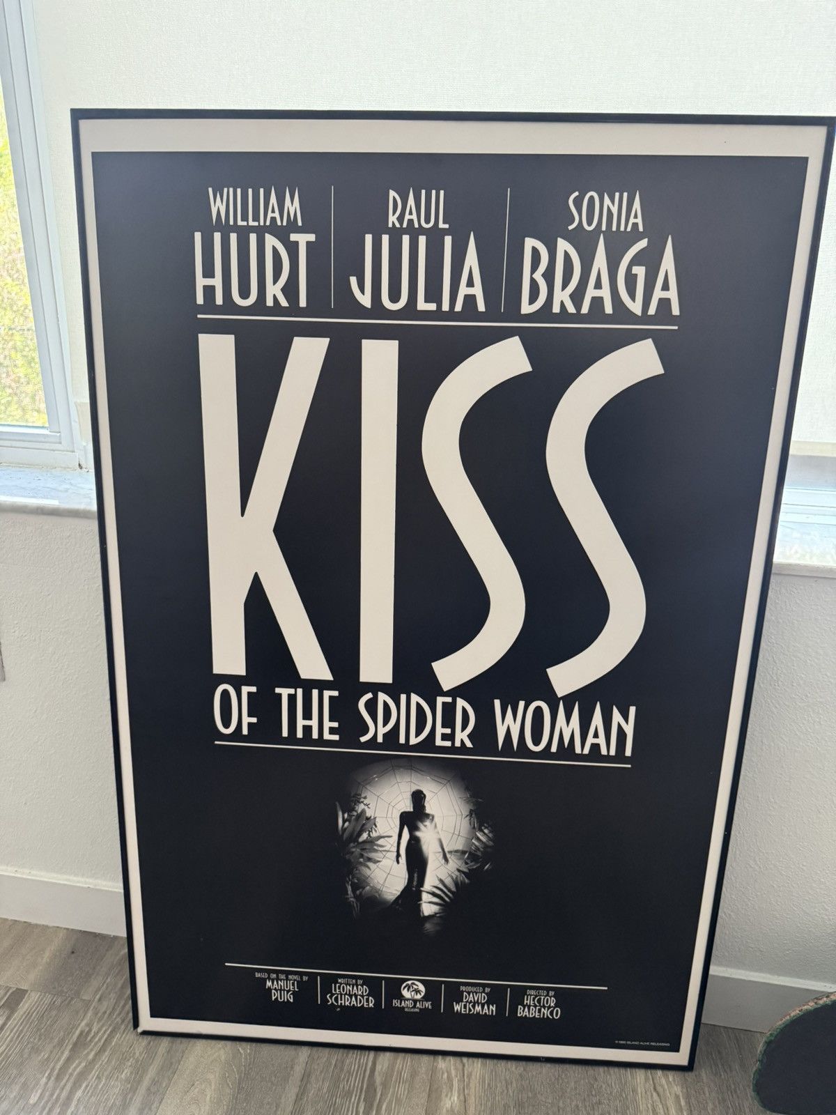 Antique × Vintage 1985 original framed Kiss of the Spider Woman poster ...