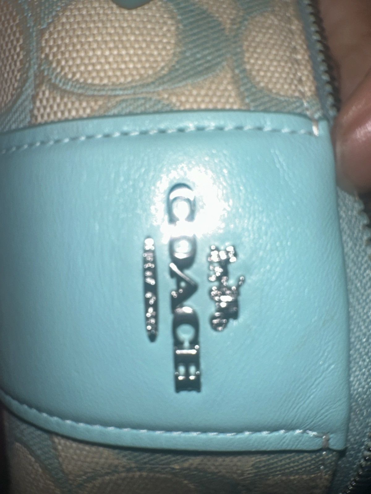 Coach Coach bag mini green | Grailed