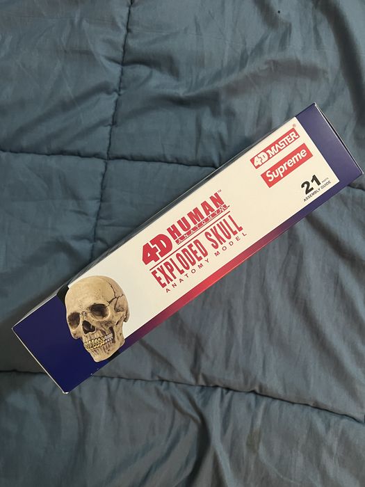 Supreme Supreme FW23 4D Model Human Skull 21 Piece Puzzle anatomy | Grailed
