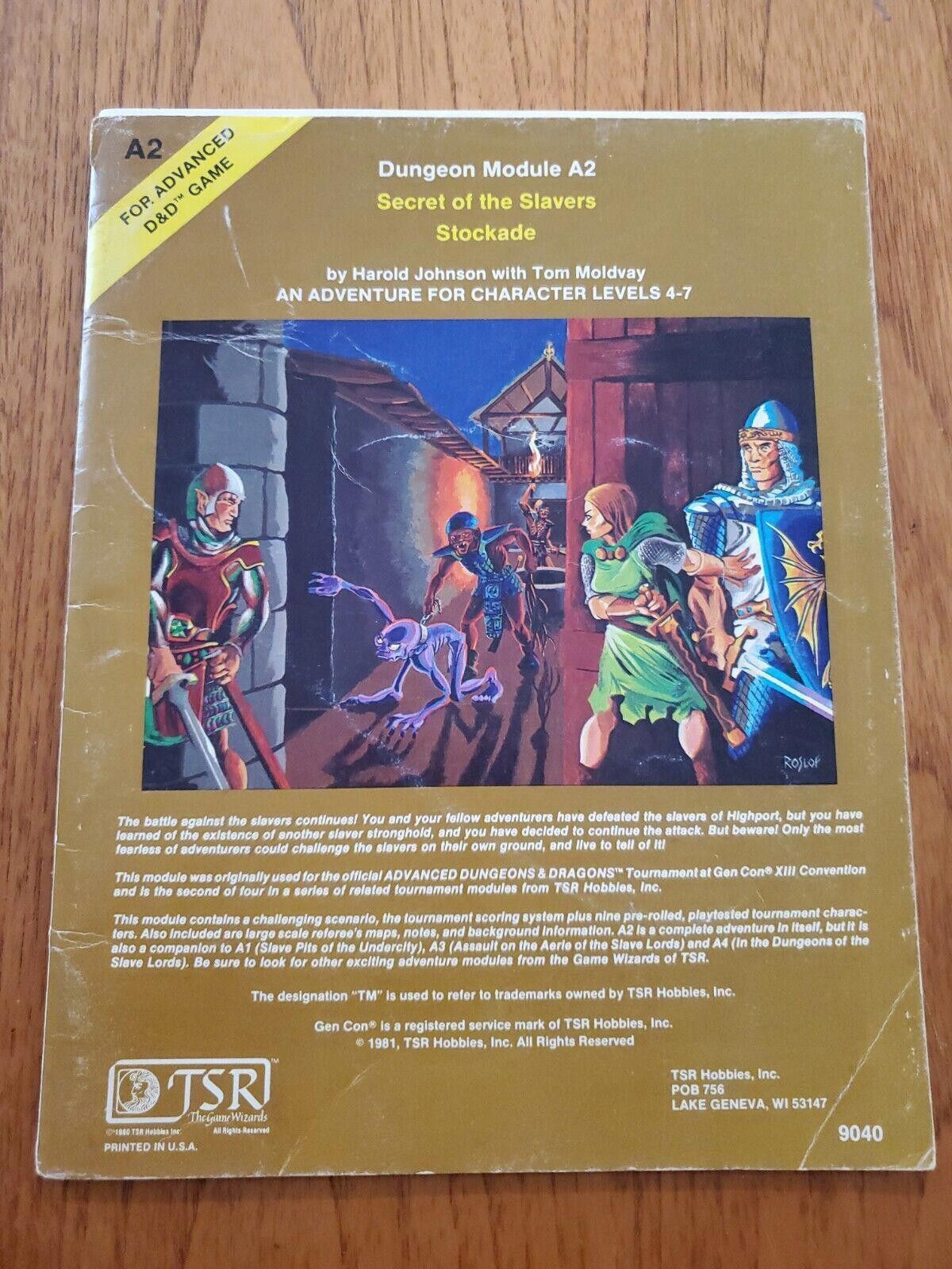 Designer TSR A2 Secret Slavers Stockade Dungeons Dragons 9040 | Grailed