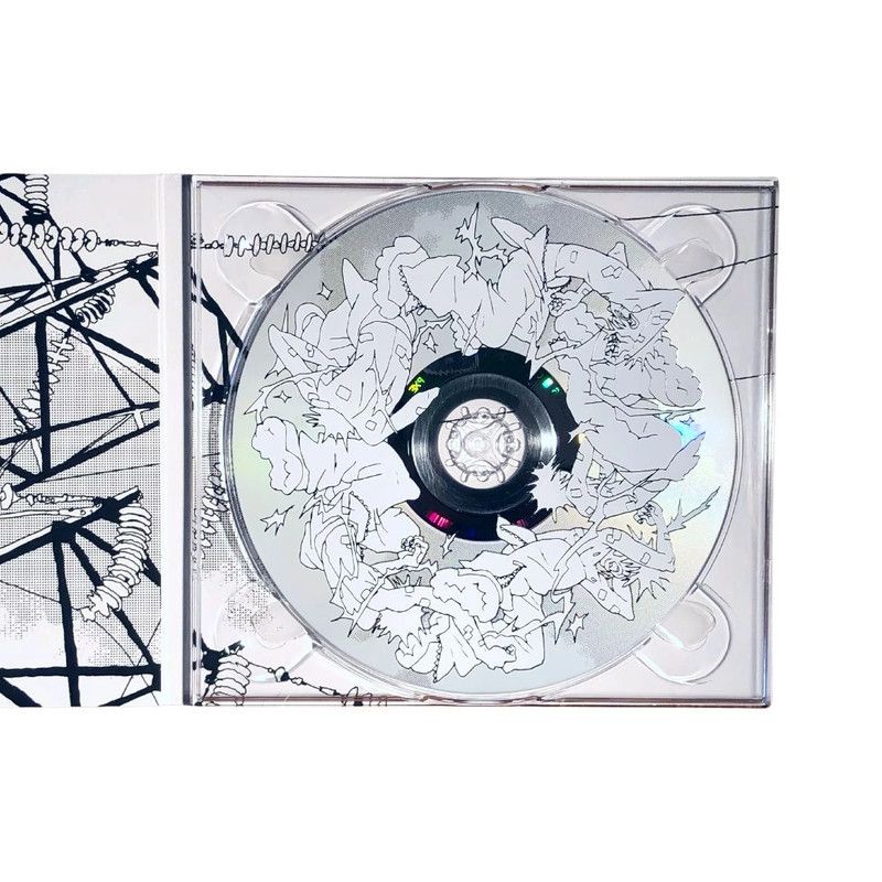 Sad Boys ECCO2K - PXE CD (1ST BURN) | Grailed