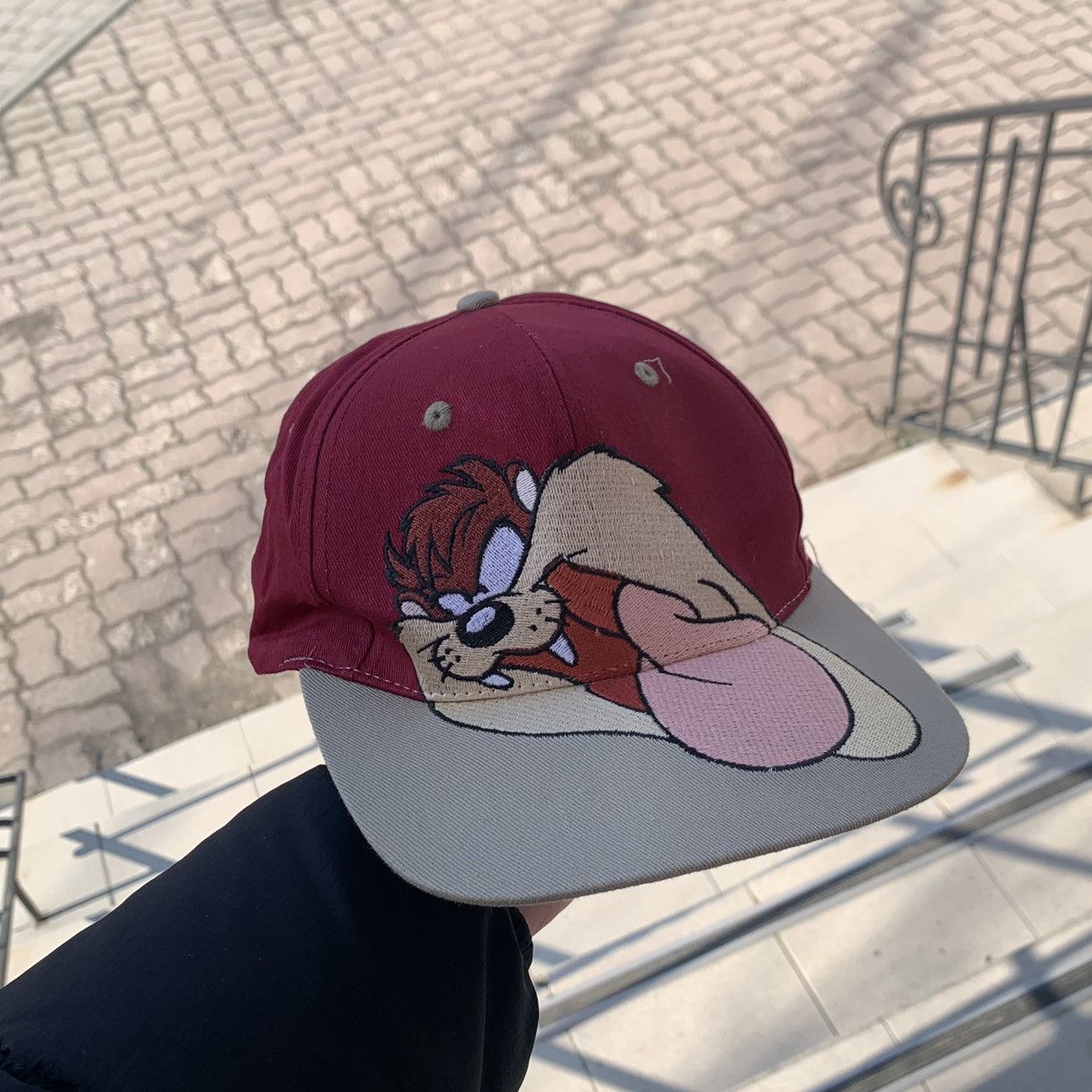 Vintage Taz looney tunes vintage warner brothers cap hat 90s retro ...