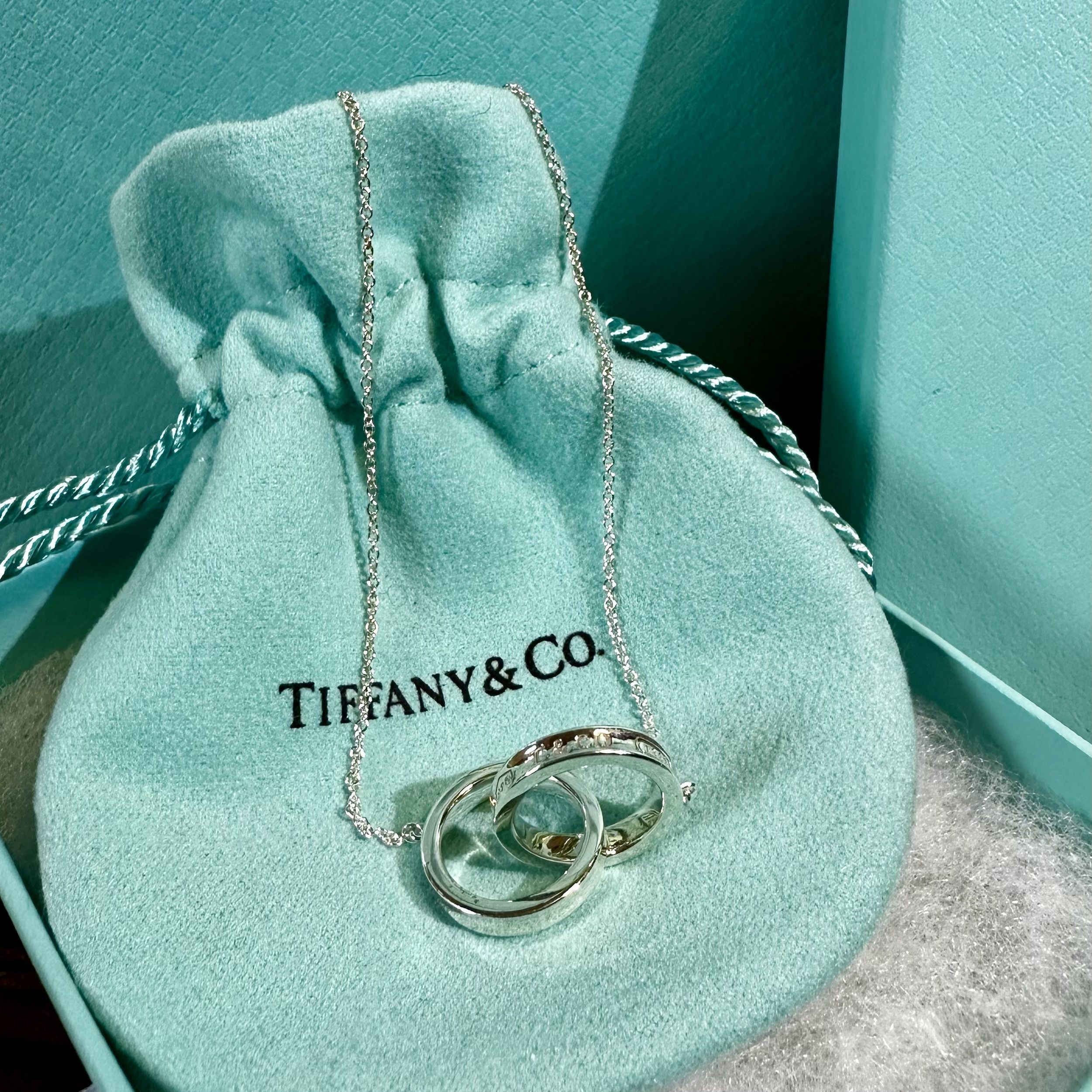 Tiffany & Co. 1837 Collection Interlocking Circles Pendant Necklace ...