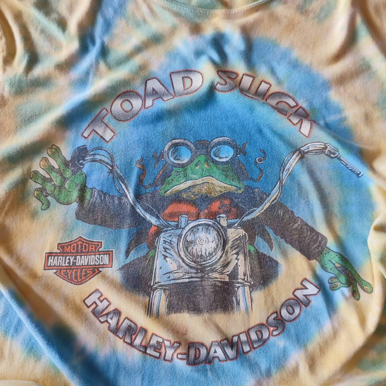 Harley Davidson Toad Suck