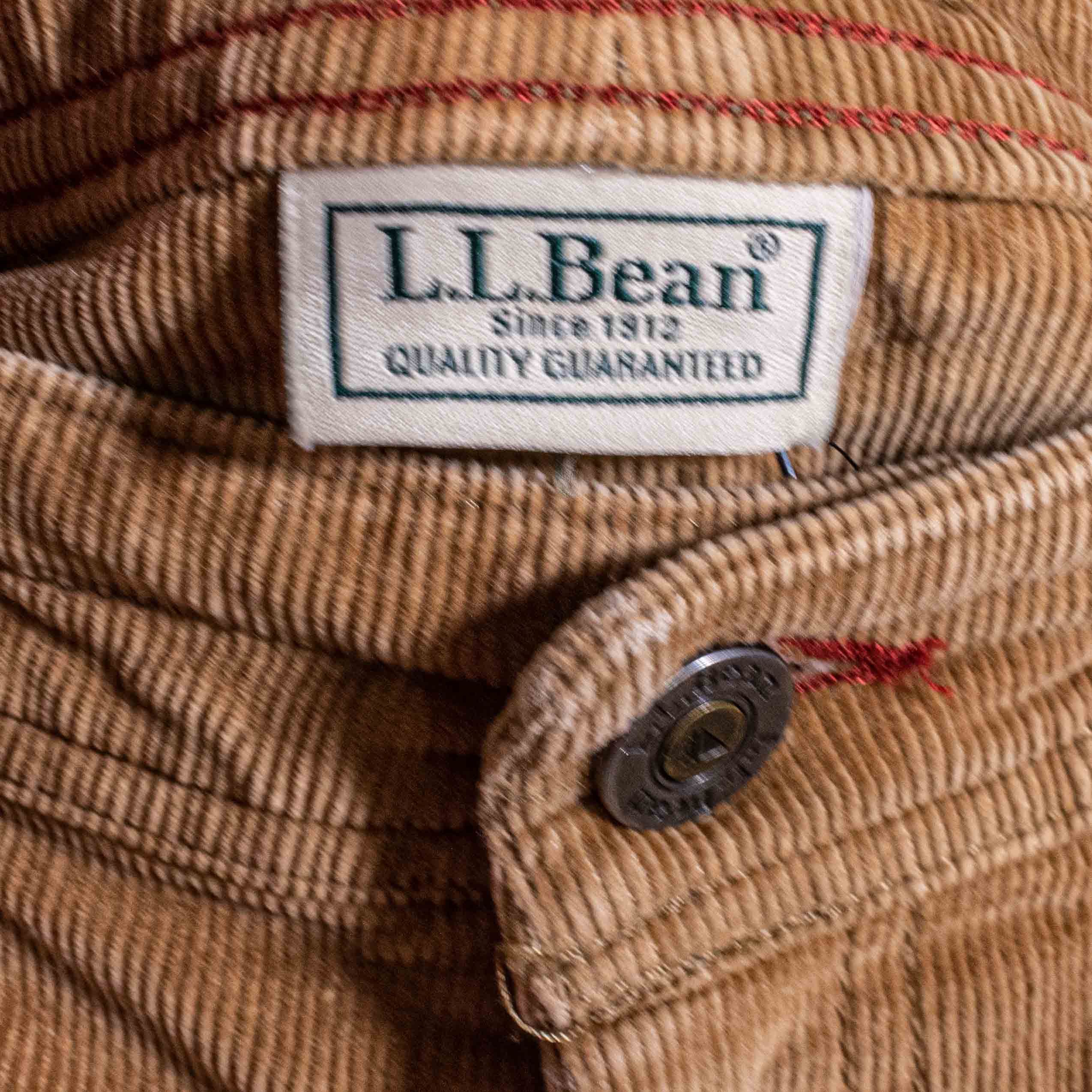 L.L. Bean LL Bean Corduroy Carpenter Utility Pants 36 x 30 Y2K Skate ...