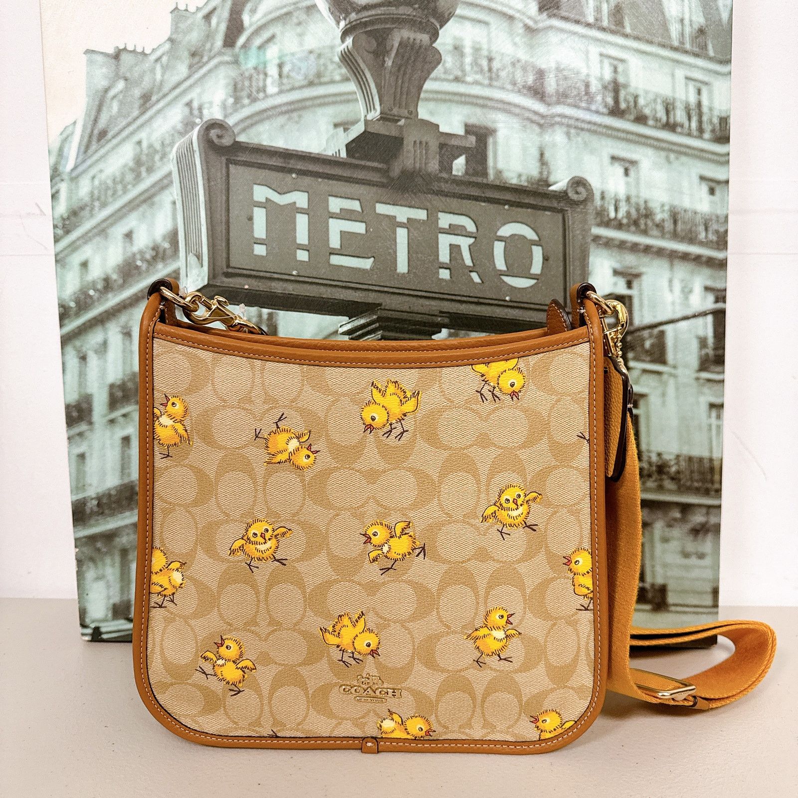 Coach Coach CC428 Dempsey File Bag In Signature Canvas Chick Print ...