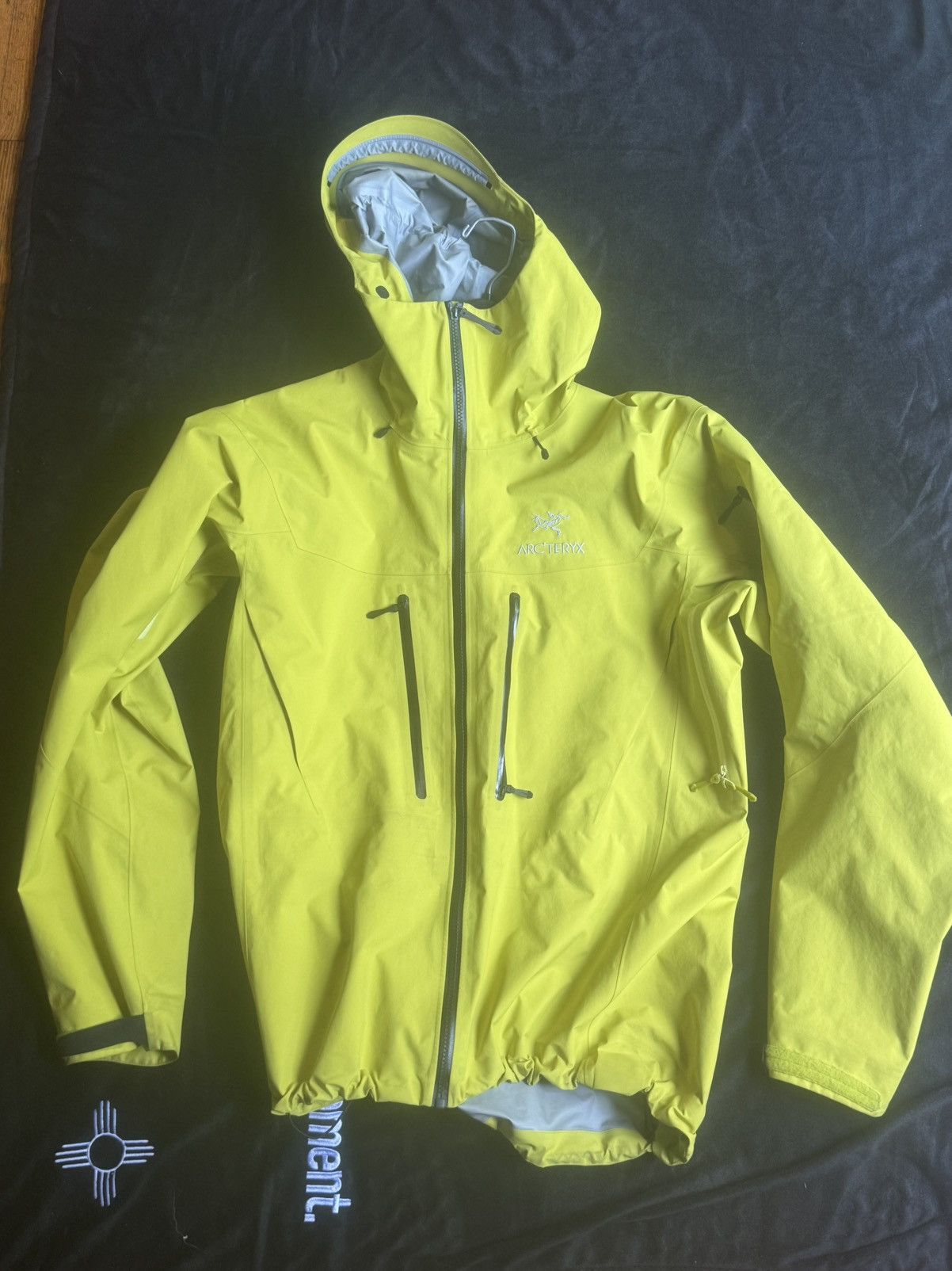 Arc'teryx Arc’teryx Alpha SV | Grailed