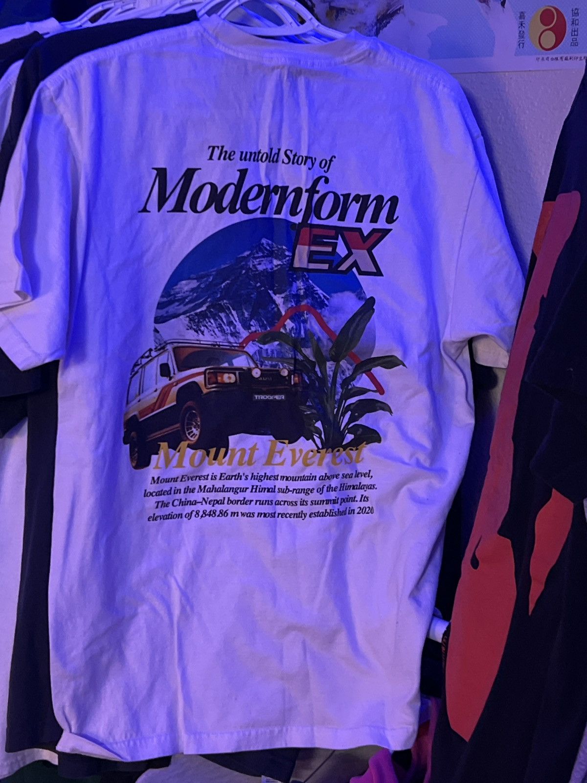 Other × Streetwear × atthemoment Himalayan Tee | Grailed