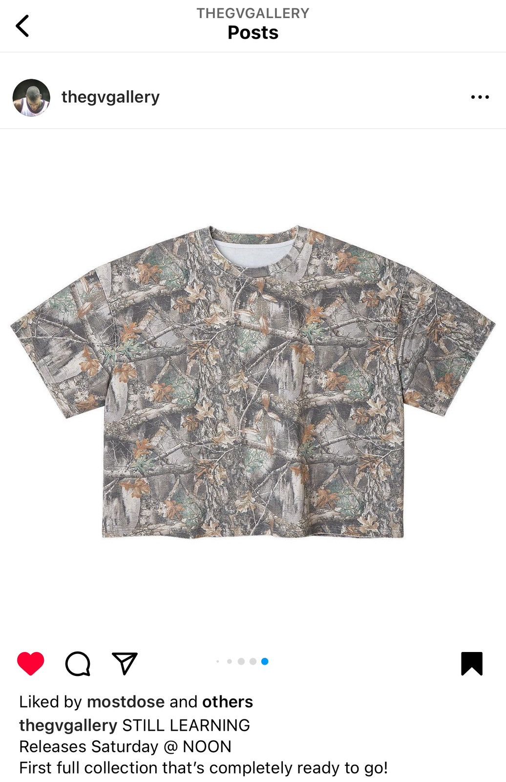 Designer × Streetwear × The GV Gallery HEAVYWEIGHT CROPPED BOXY CAMO T ...