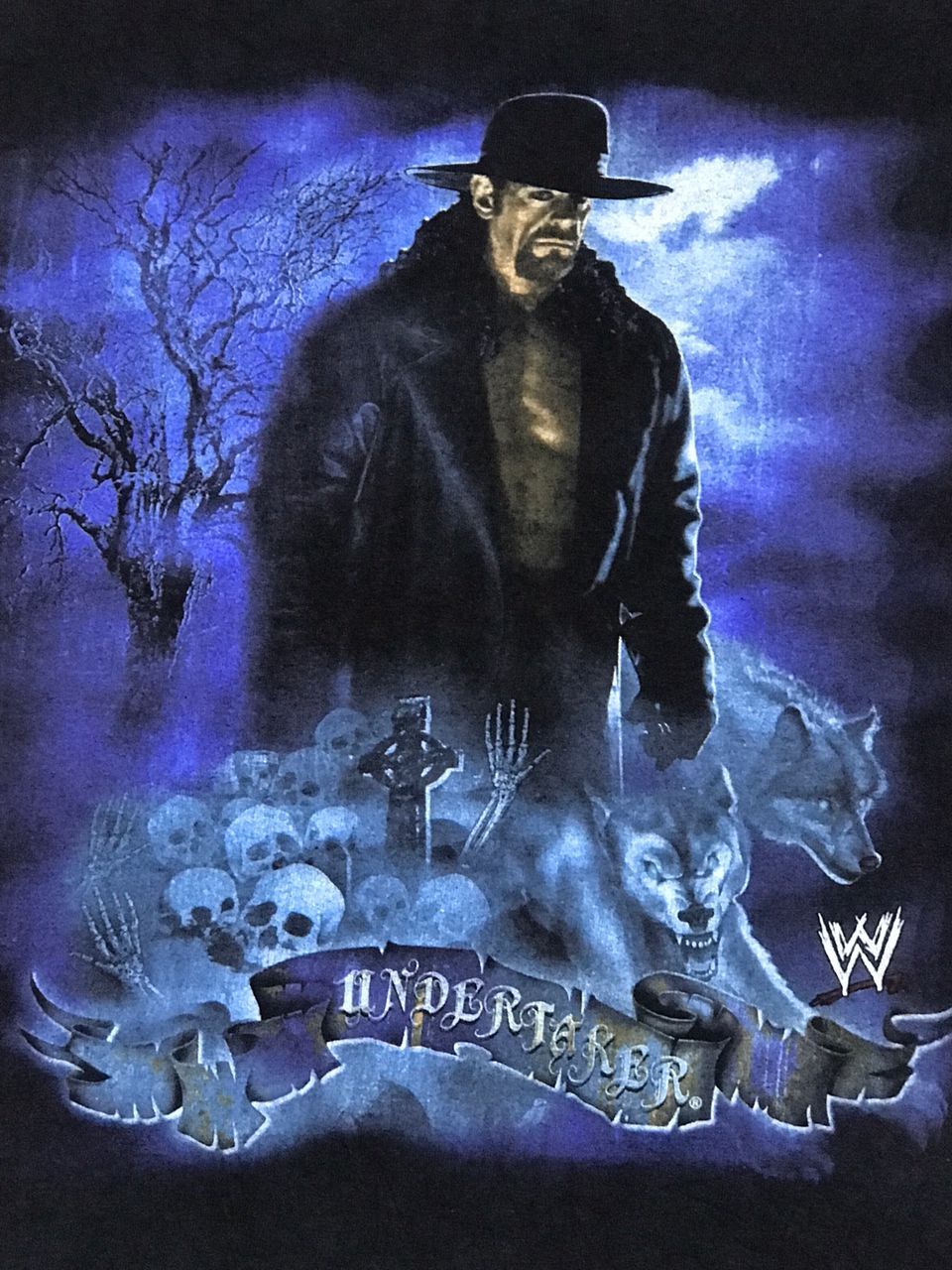 Vintage Vintage WWE Undertaker T-Shirt | Grailed