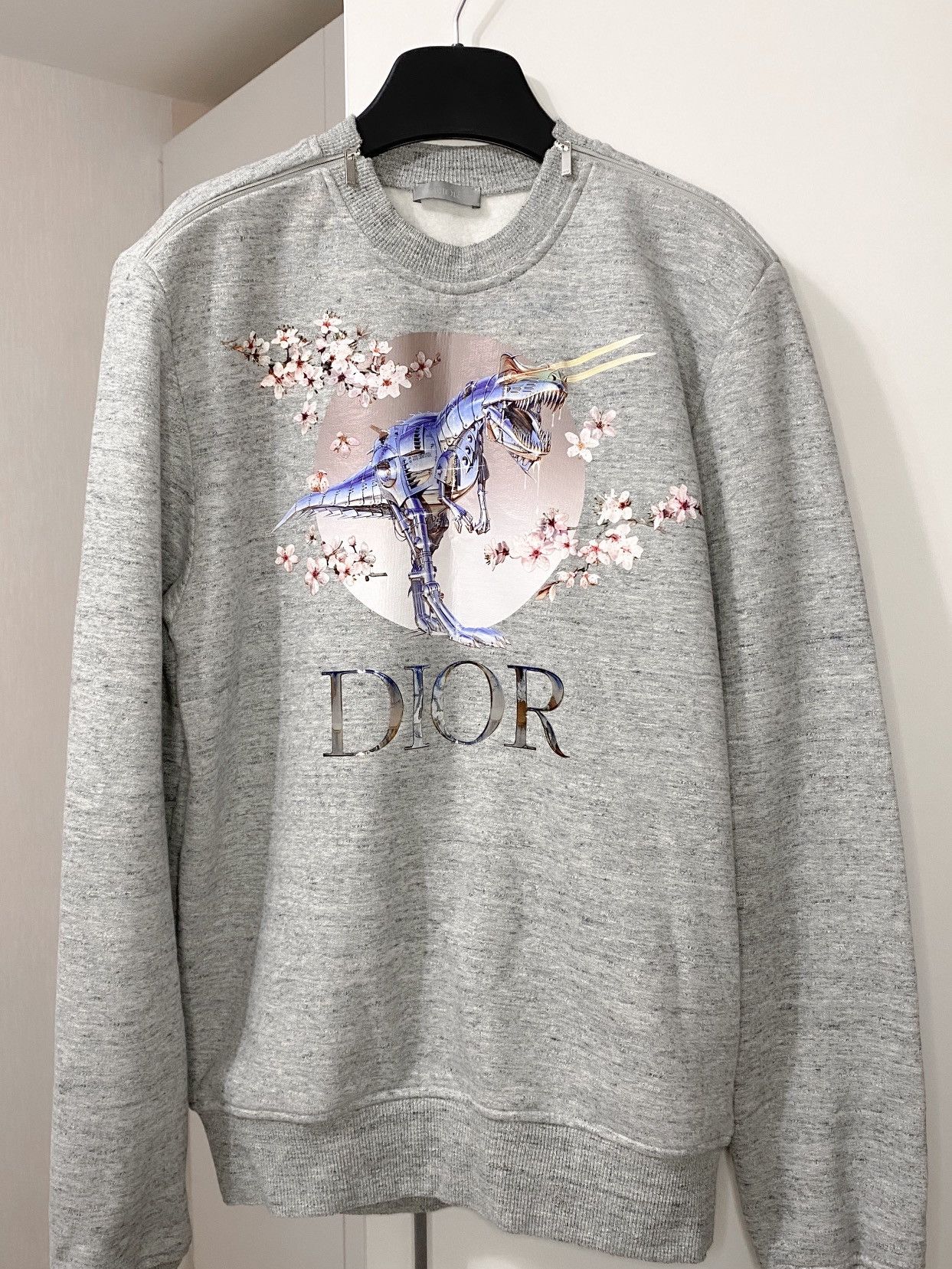 Dior Dior x Sorayama T-Rex Logo Cherry Blossom Sweatshirt FW19 | Grailed