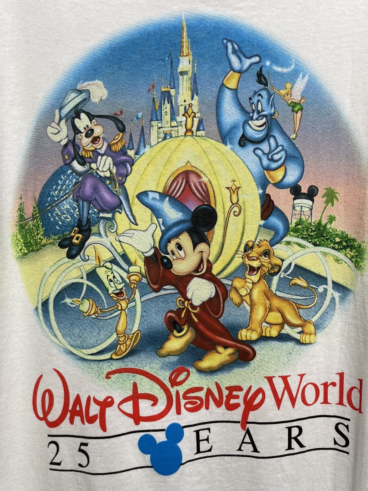Vintage Genie Mickey Simba Goofy Walt Disney World 25 years | Grailed