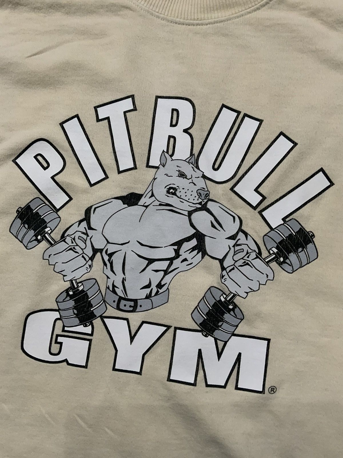 Vintage Vintage 90s Pit Bull Gym Bodybuilding Workout Sweatshirt | Grailed