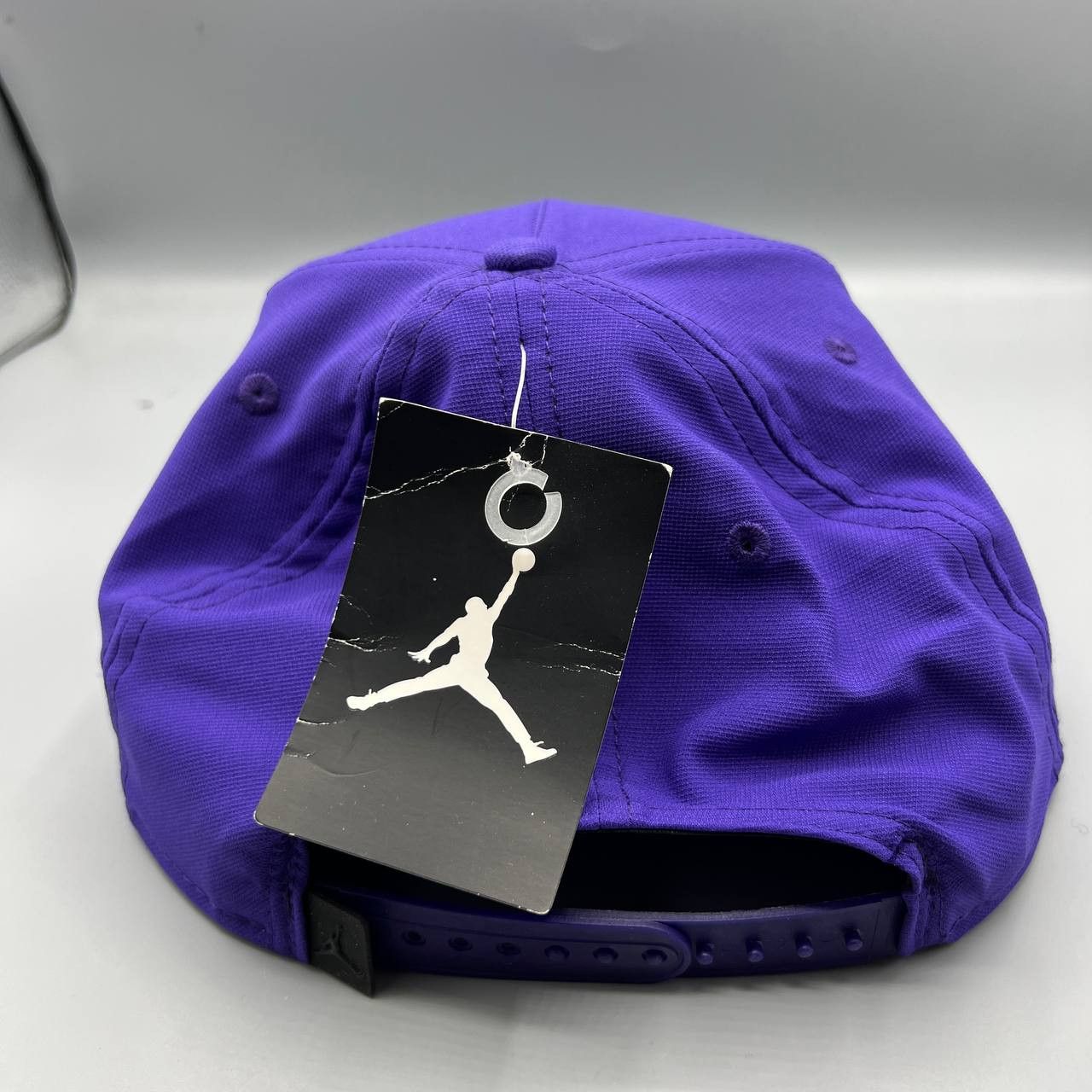 Jordan Brand Charlotte Hornets Buzz City x Air Jordan Hat Men Snap Back ...