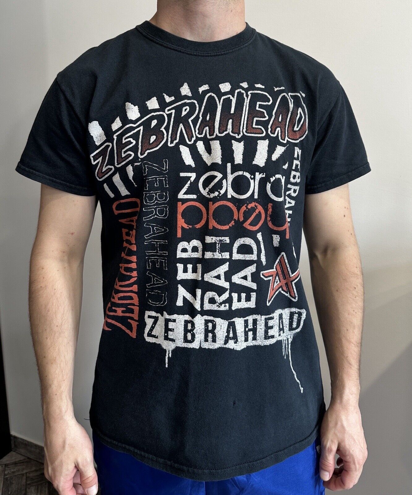 Gildan × Vintage VINTAGE BAND ZEBRAHEAD SHIRT TEE ROCK | Grailed
