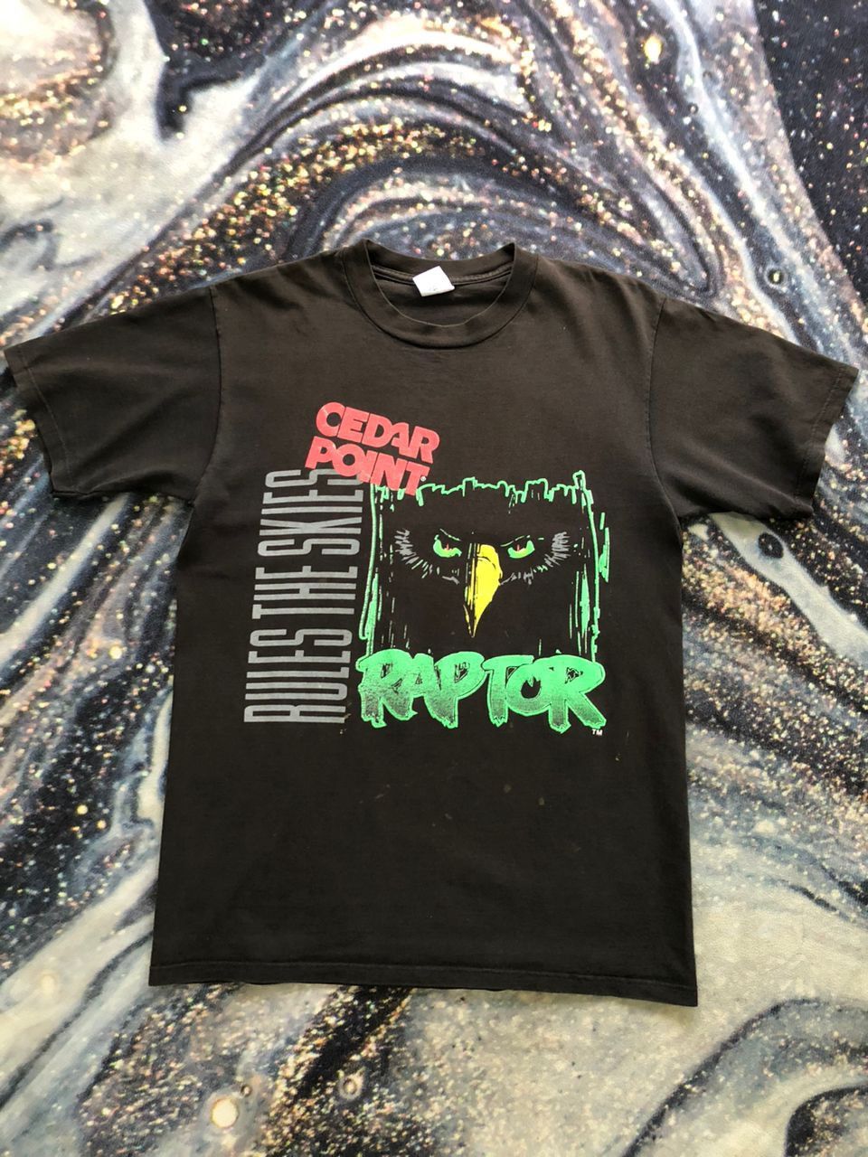 Made In Usa × Vintage Raptor rules the skies cedar point | Grailed