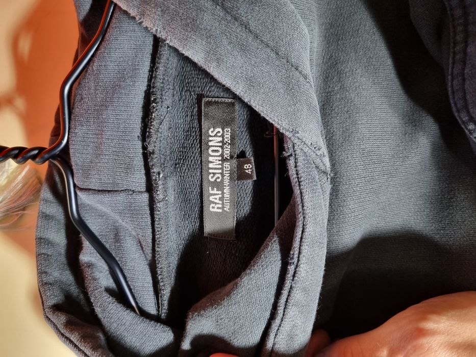 Raf Simons Raf simons Virginia Creeper hoodie | Grailed