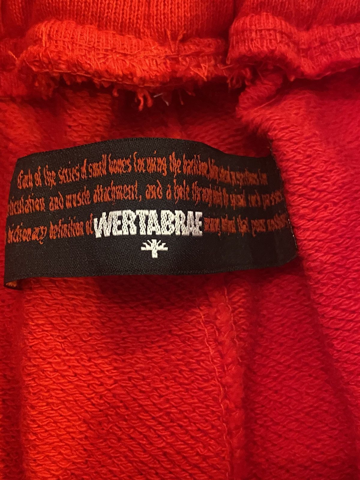 Vertabrae Vertebrae C-2 pants washed L | Grailed