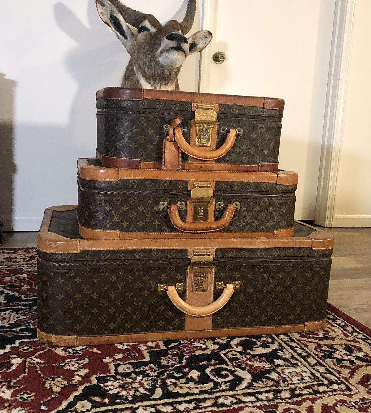 Louis Vuitton 1960's Vintage Louis Vuitton Trunk - Set Of 3 Trunks ...
