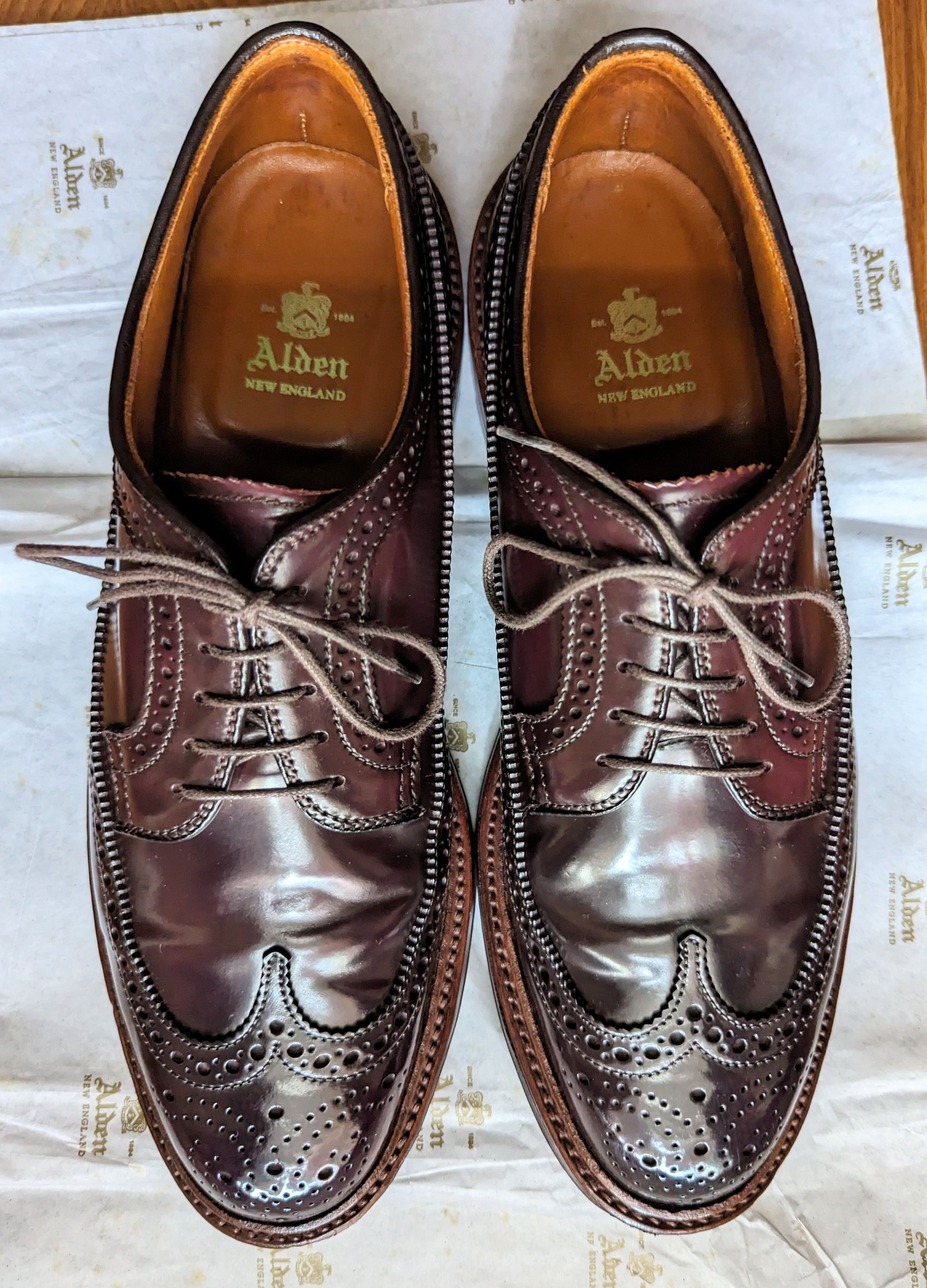 Alden Rare Alden D5512c Color 8 Shell Cordovan Long Wing Blucher | Grailed