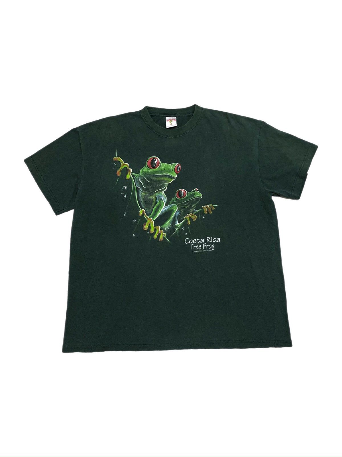 Vintage 90s Costa Rica Tree Frog Tee | Grailed