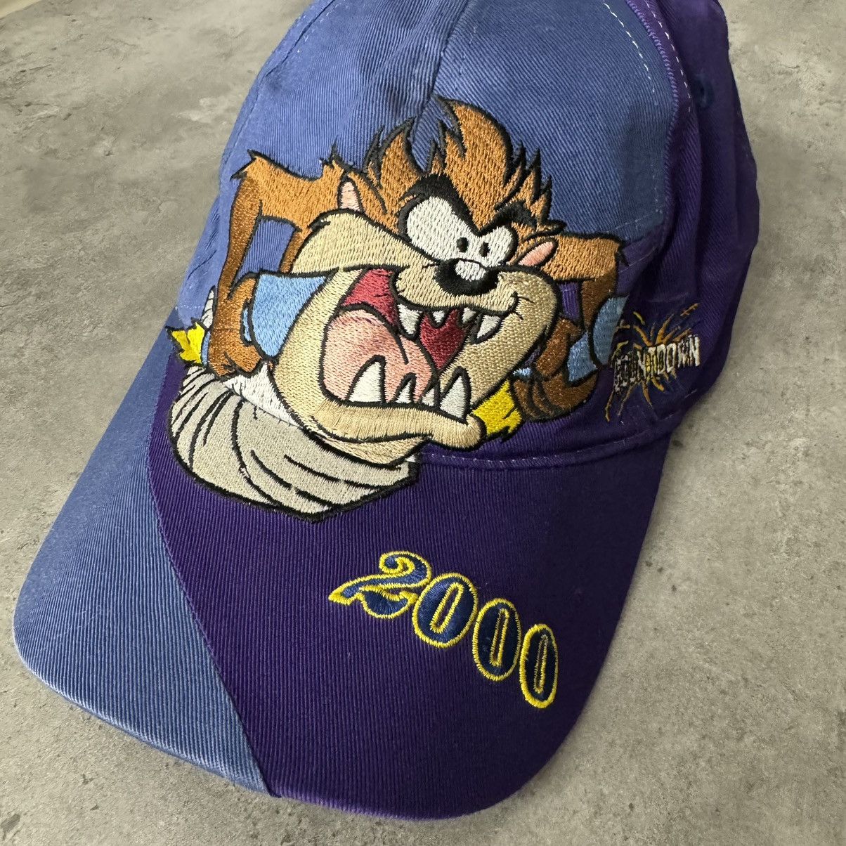 Vintage Vintage 2000 Taz Looney Tunes Cap | Grailed