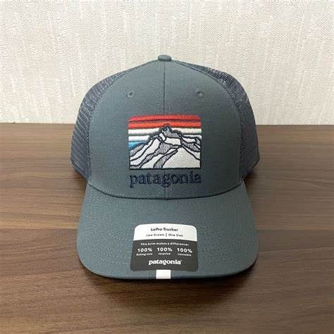 Patagonia Patagonia Line Logo Ridge LoPro Trucker Hat Grey NEW Unisex ...