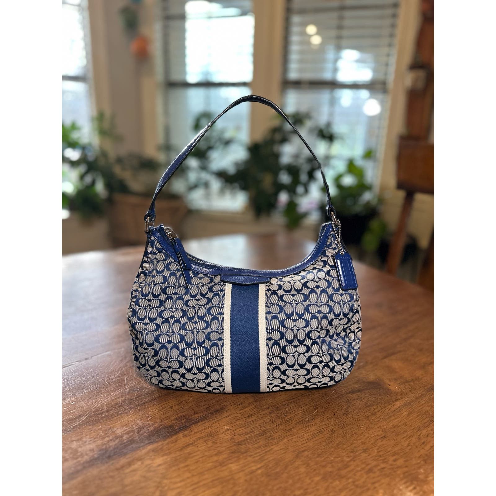 Coach GUC Blue Coach Signature C Logo Canvas Vertical Stripe Bag | Grailed