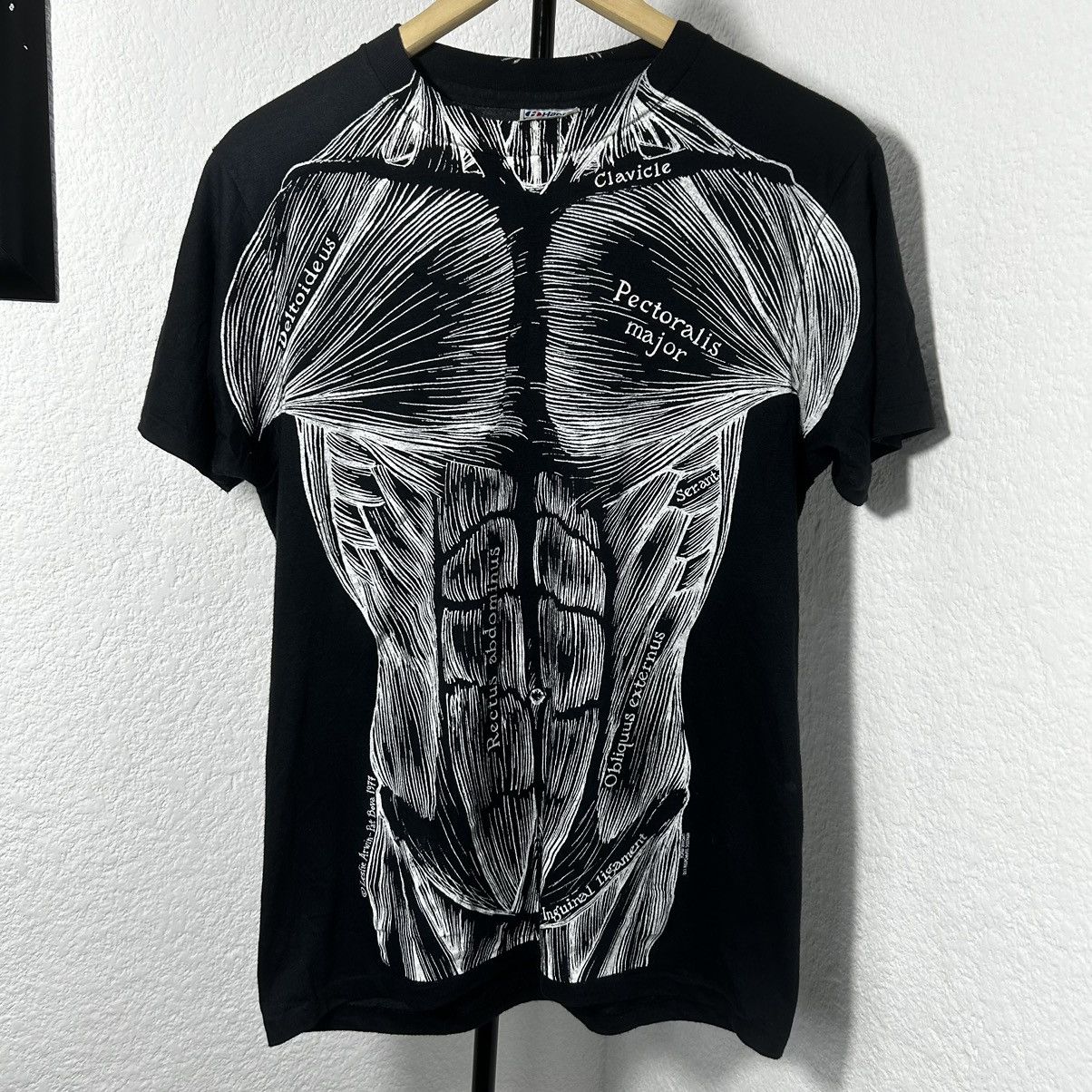 Vintage 1977 Leslie Arwin Pat Bova Muscle Anatomy | Grailed