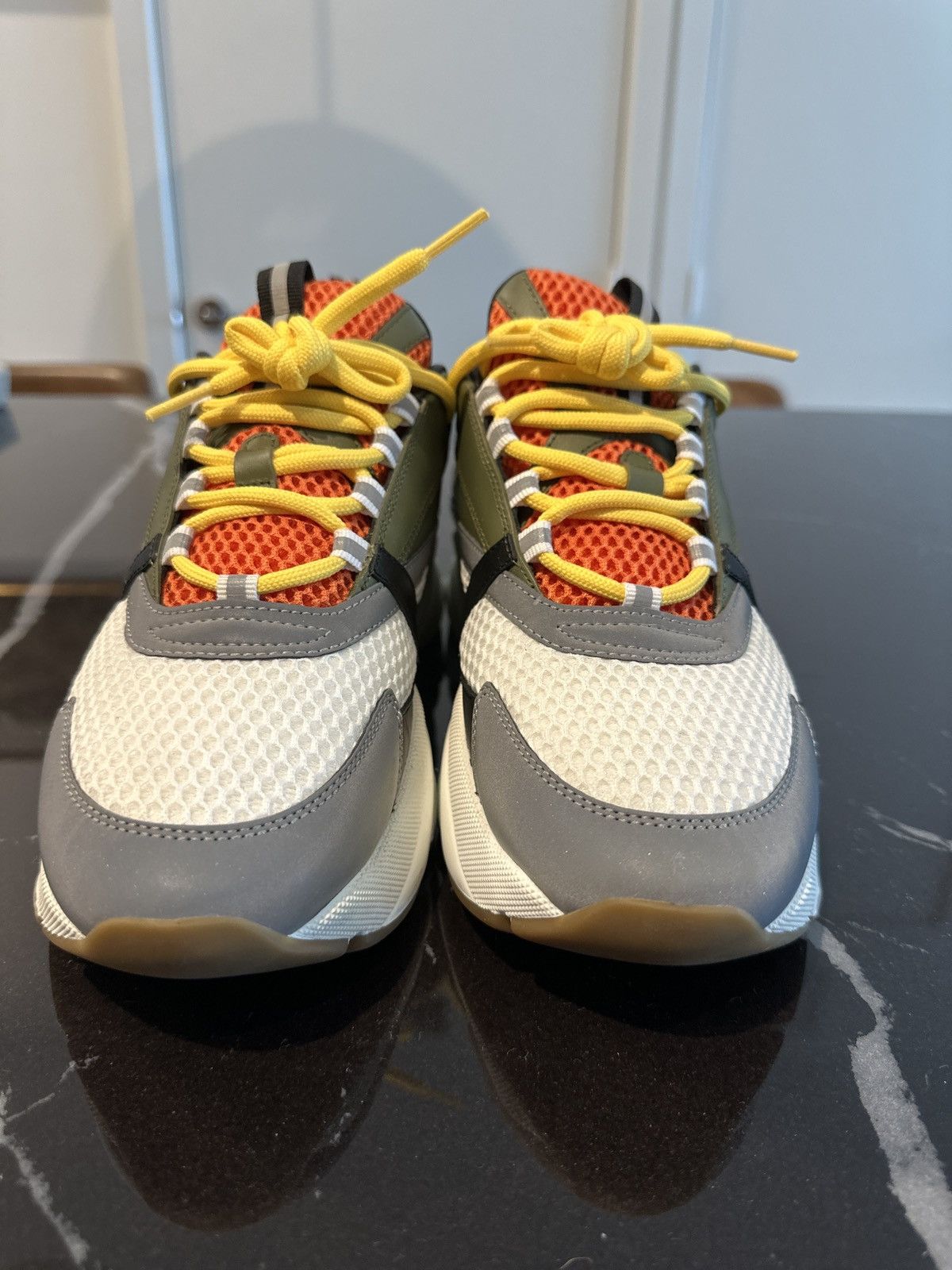 Dior B22 Orange/Green Peter Doig