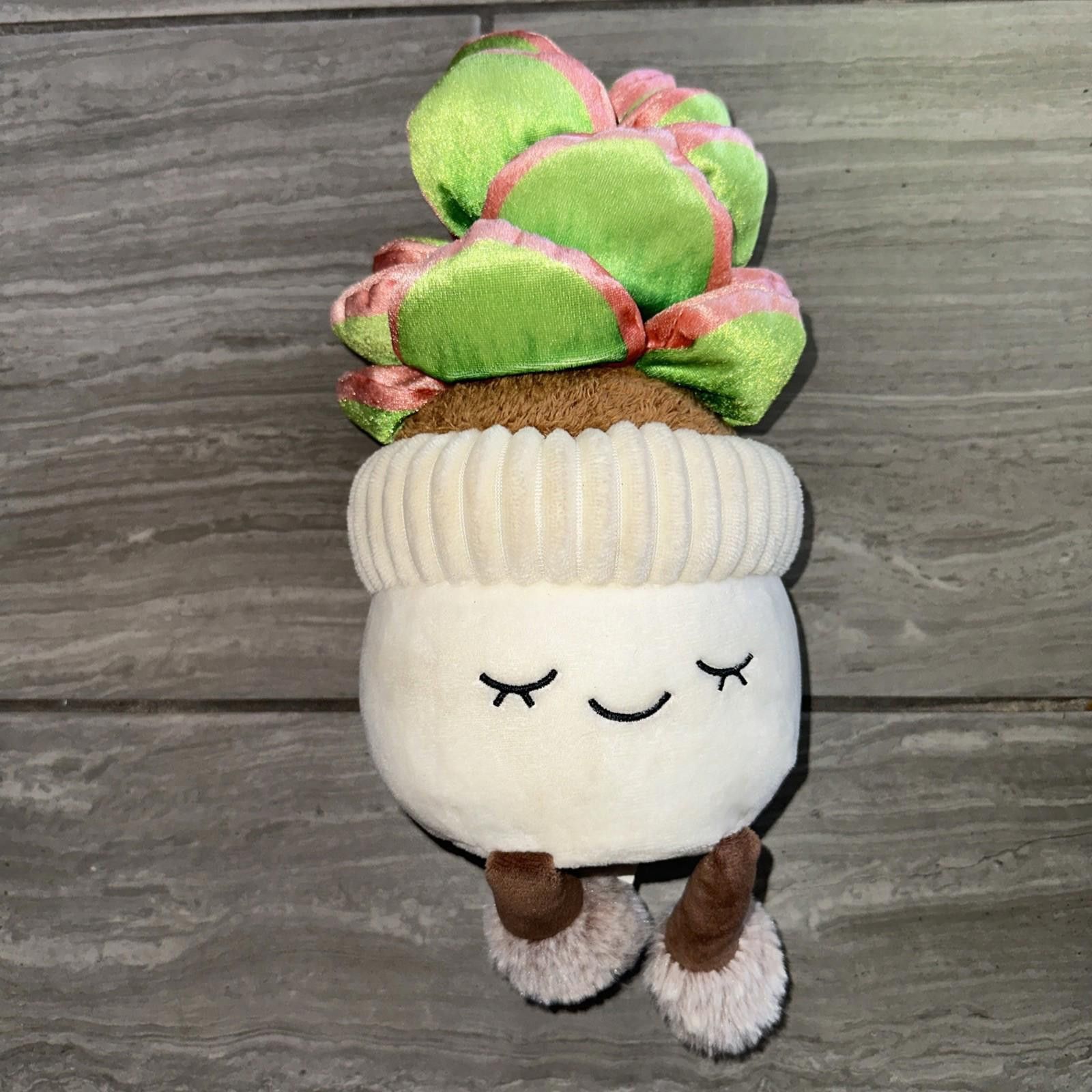 Russell Athletic Greenhouse Russ Succulent 12 Plush Potted Plant Shelf ...