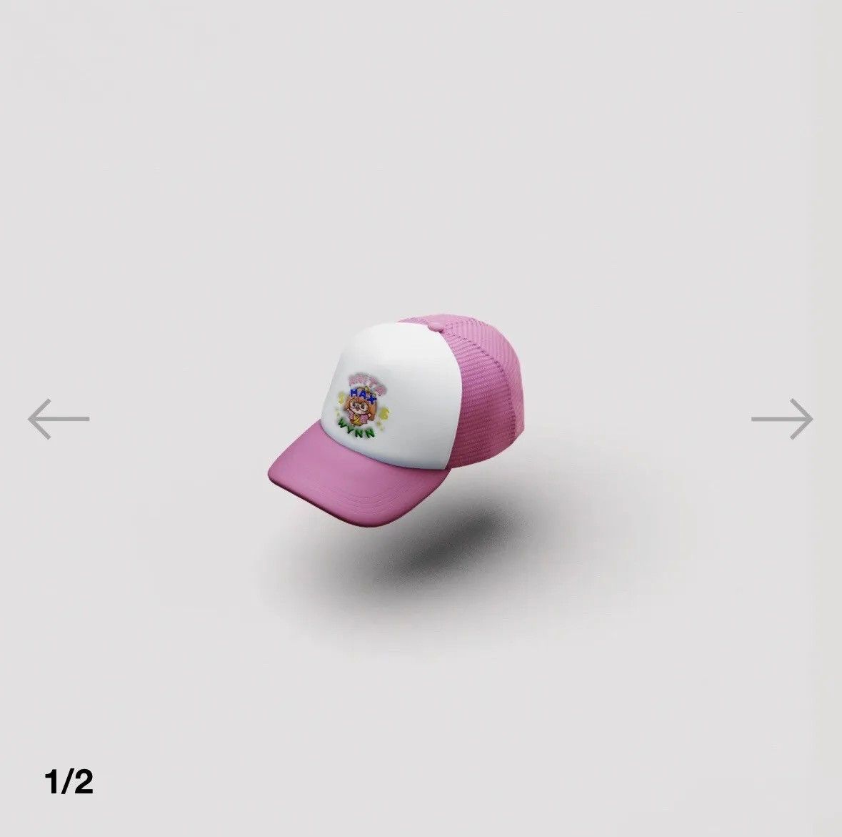 Drake Anita Max Wynn Drake hat | Grailed