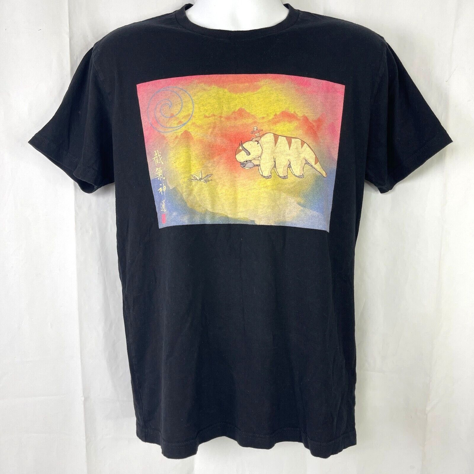 Streetwear Avatar Last Airbender Aang Appa Sky Bison Box Lunch M T-Shir ...