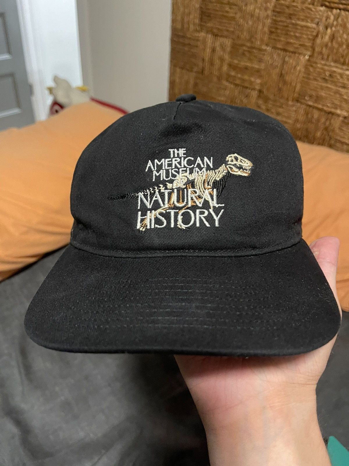 Kith Kith American X museum of natural history hat | Grailed