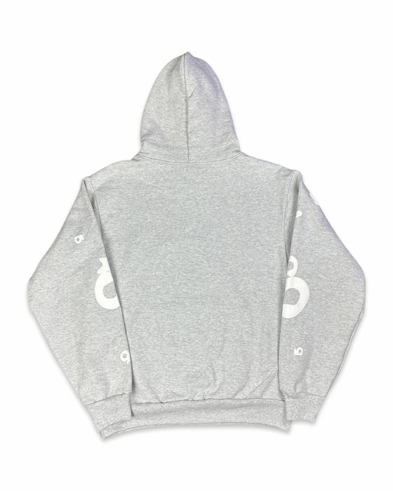 Designer SP5DER Beluga Star Puff Print Gray Hoodie Spider Worldwide ...