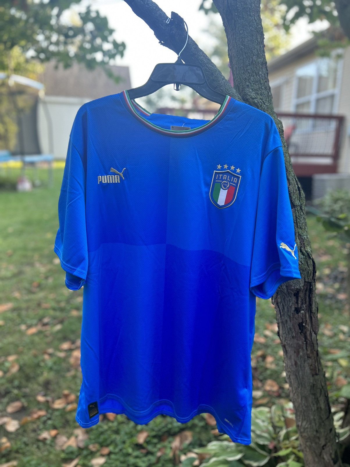 Puma Italy National Team Puma 2022/23 Home Authentic | Grailed