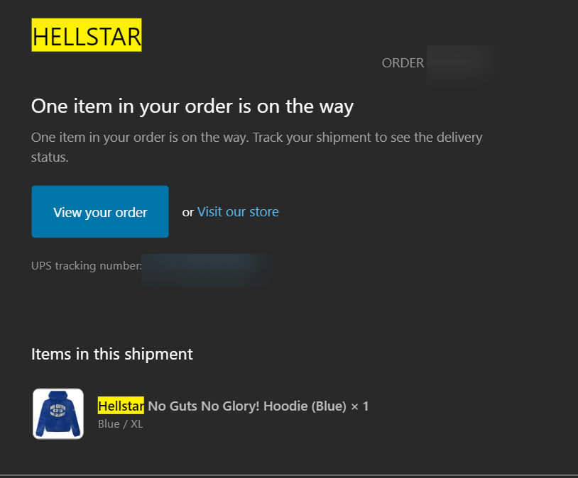 HELLSTAR Hellstar No Guts No Glory! Hoodie Hoodie | Grailed