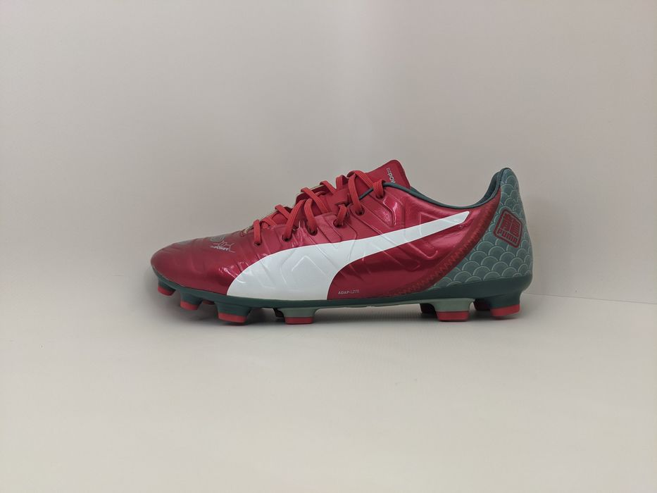 Puma Puma evoPOWER 1.2 AG/FG Dragon soccer football cleats | Grailed