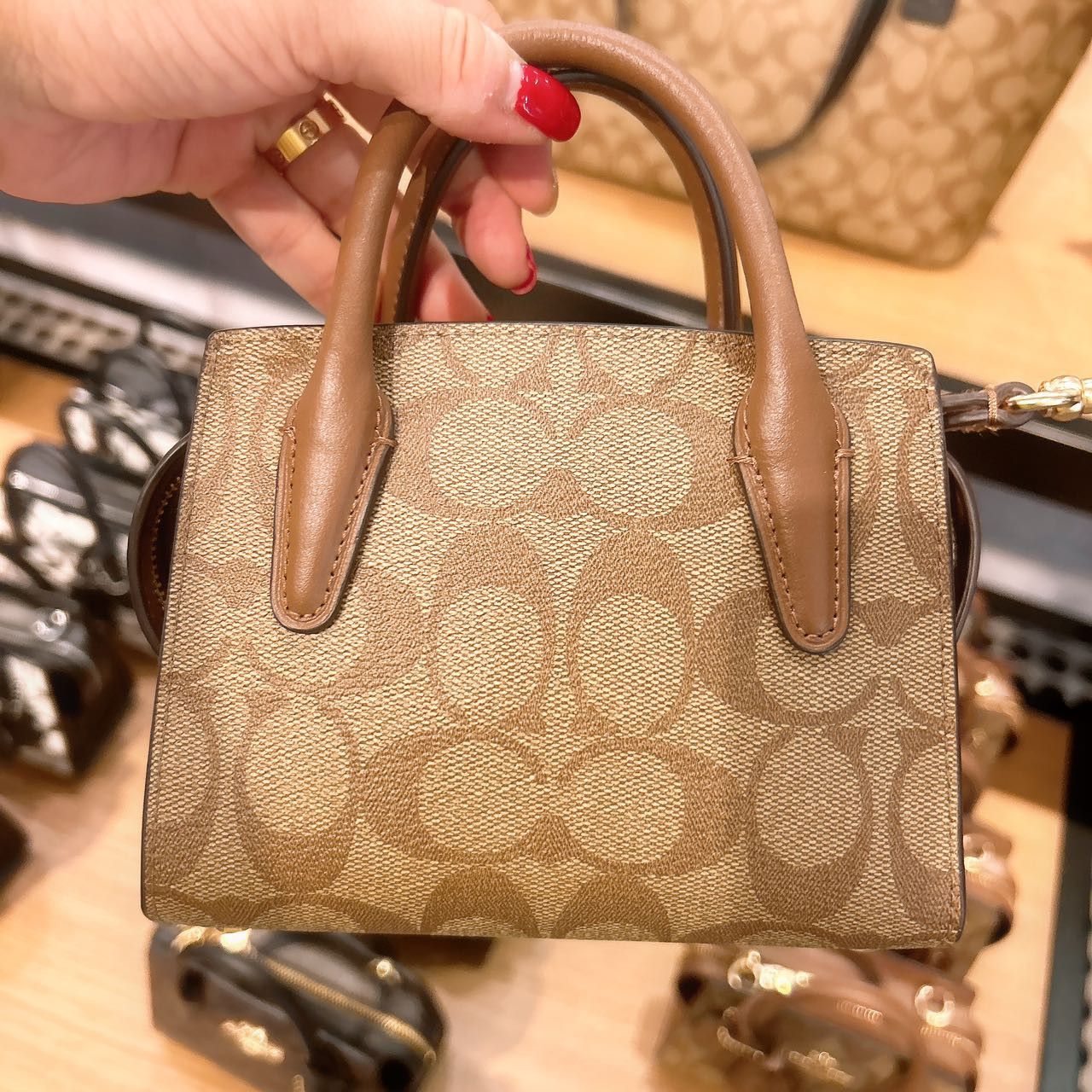 Coach Andrea Mini Carryall In Signature Canvas CO975 | Grailed