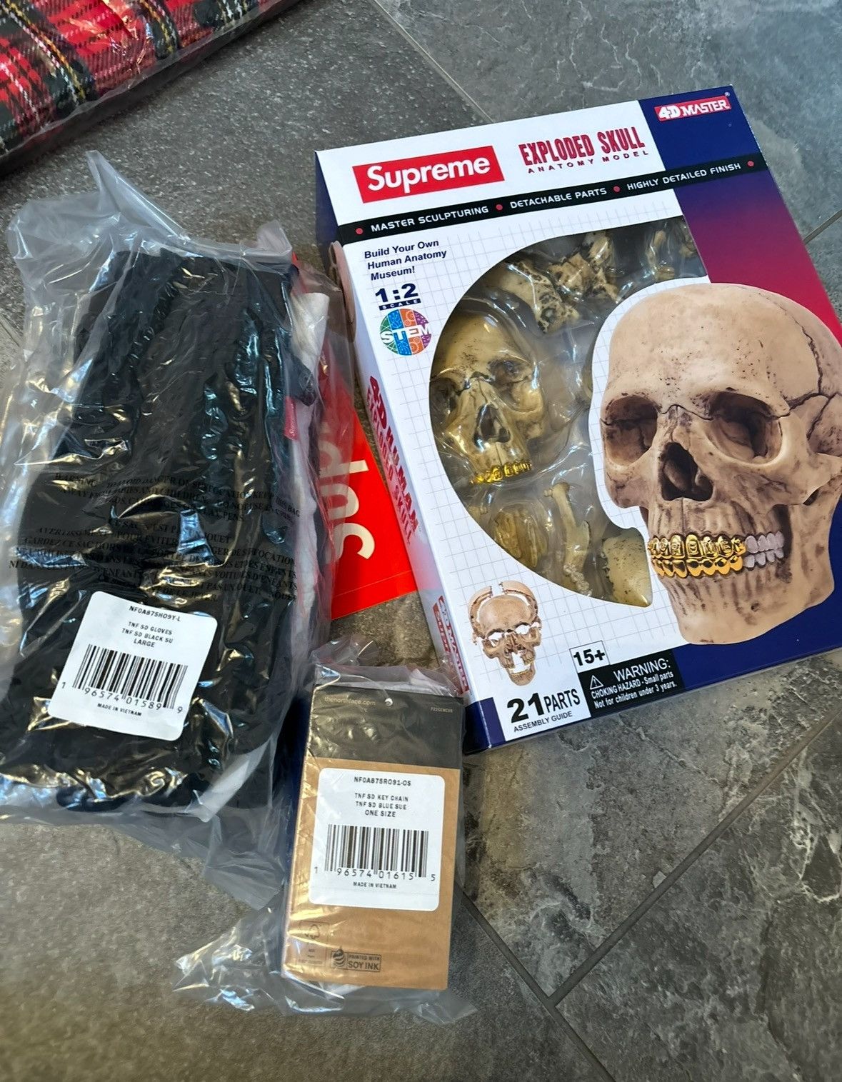 Hype × Streetwear × Supreme Supreme 4D Model Human Skull in Natural ...